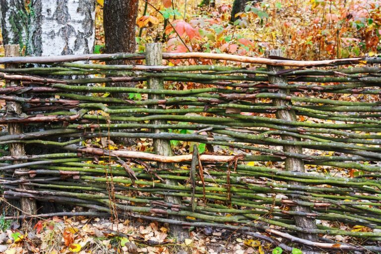 Crafting a Wattle Fence Using Branches: A Step-by-Step Guide - LeafyJournal