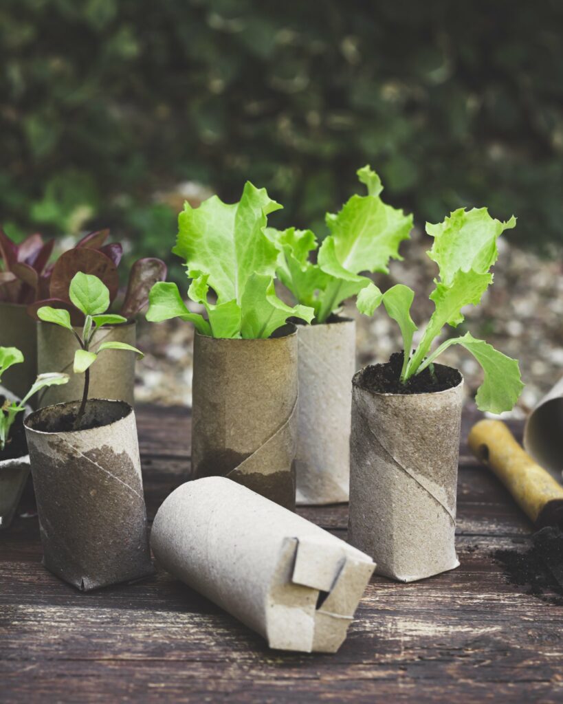 15 Ways to Upcycle Toilet Paper Rolls For Your Garden - LeafyJournal