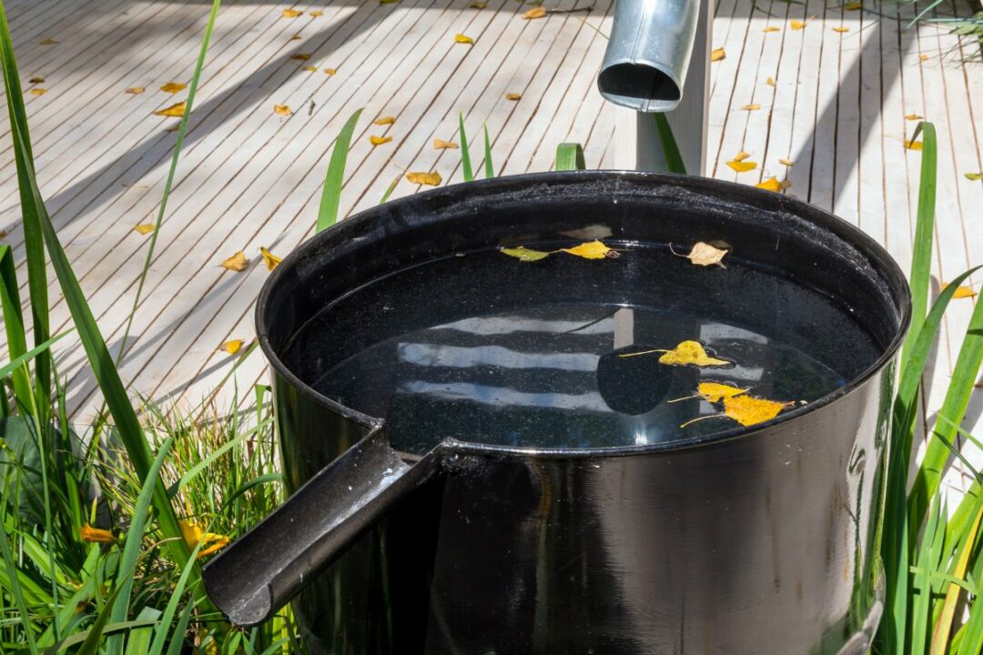 How To Create A Rainwater Collection System & 10 Homemade Solutions ...