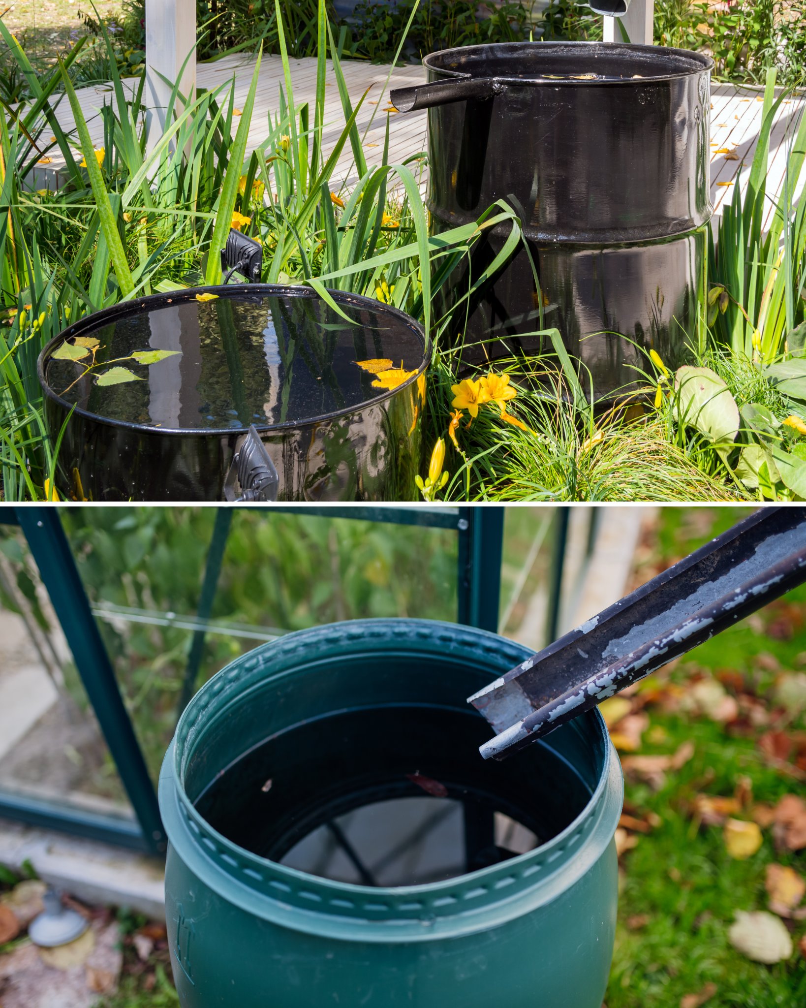How To Create A Rainwater Collection System & 10 Homemade Solutions ...