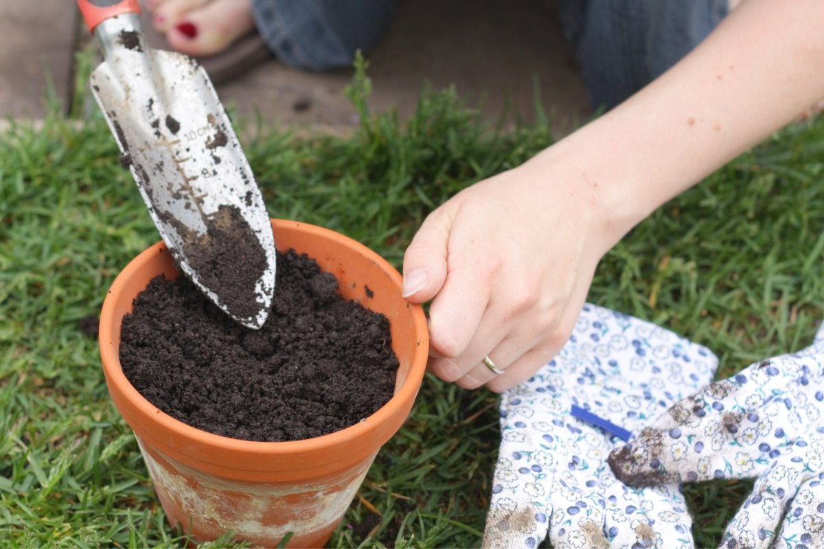 9 Creative Ways to Reuse and Revitalize Old Potting Soil Instead of Discarding It - LeafyJournal