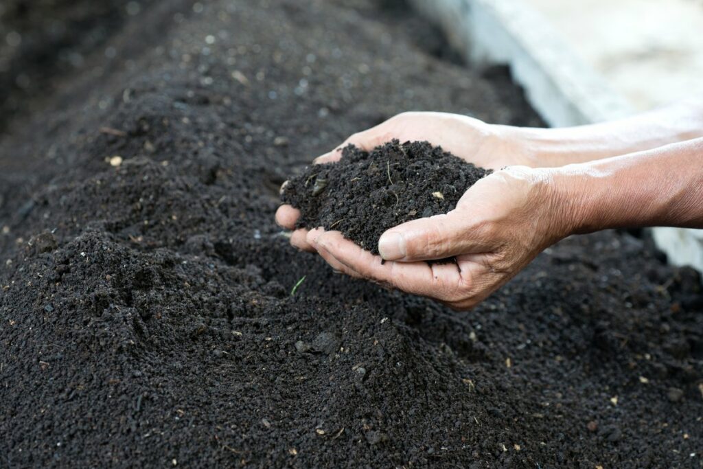 Don’t Dump That Old Soil! Here’s How to Reuse It 10 Ways - LeafyJournal