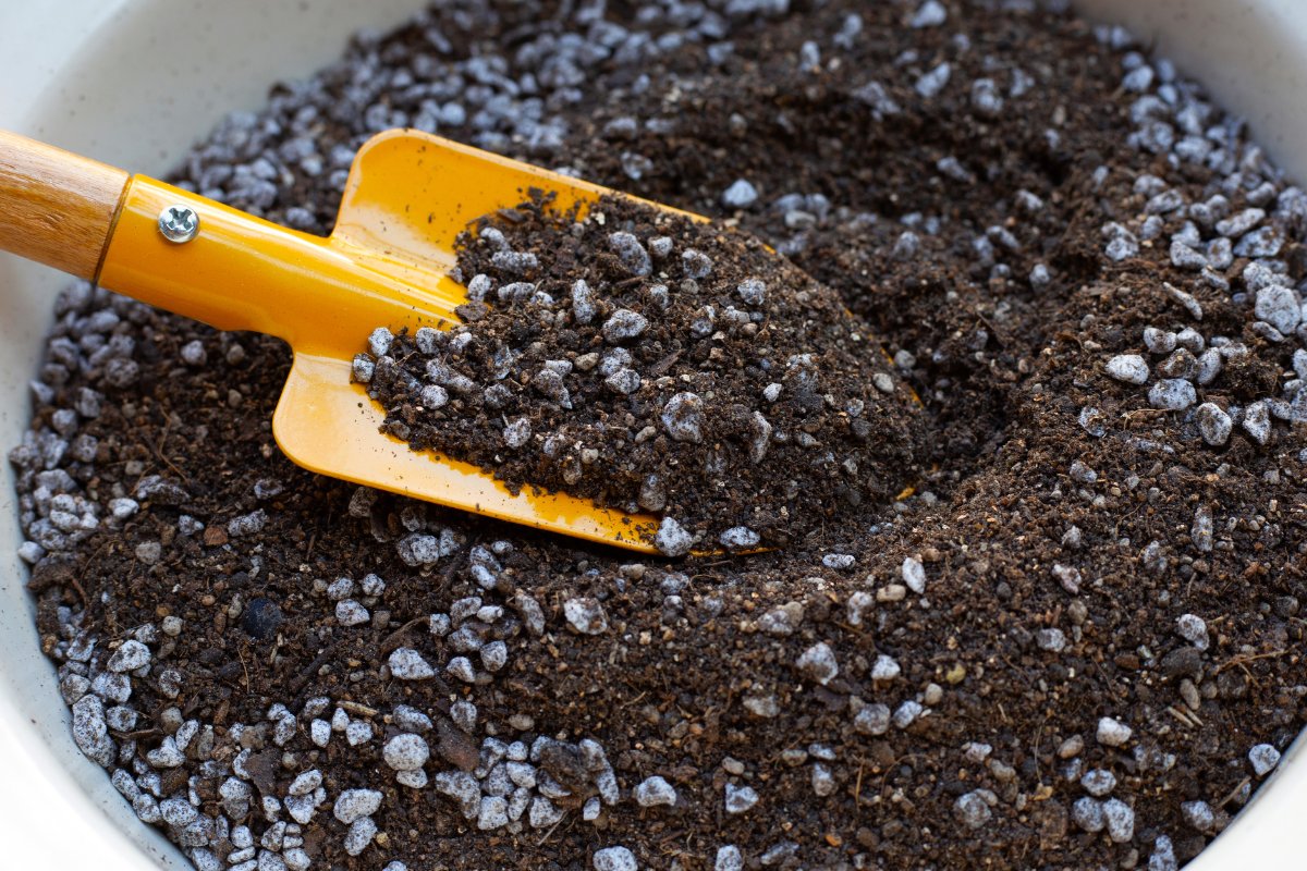 How to Make the Perfect Soil Mix for Your Pothos - LeafyJournal