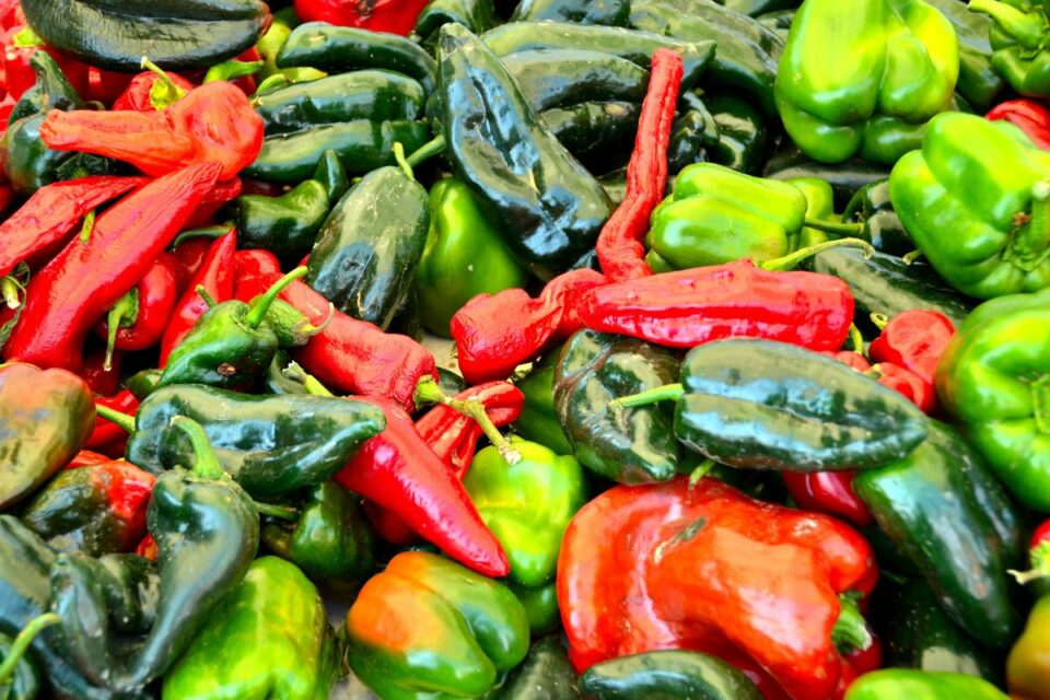 How to Freeze Hot Peppers Without Losing Spice - LeafyJournal