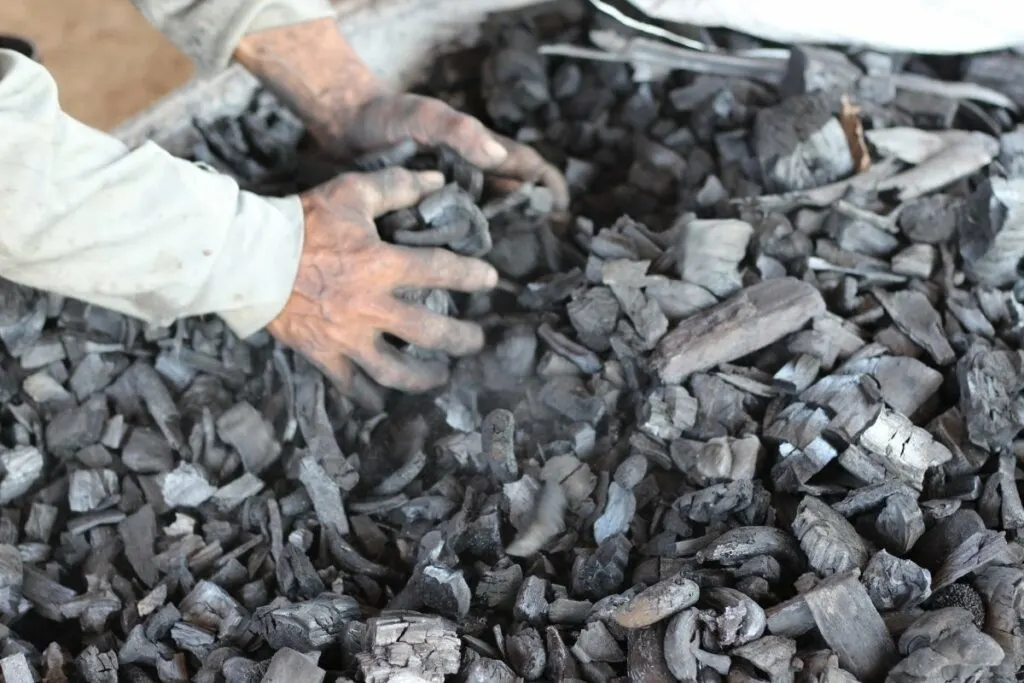 A Step-by-Step Guide to Making Everlasting Biochar for Soil Improvement ...